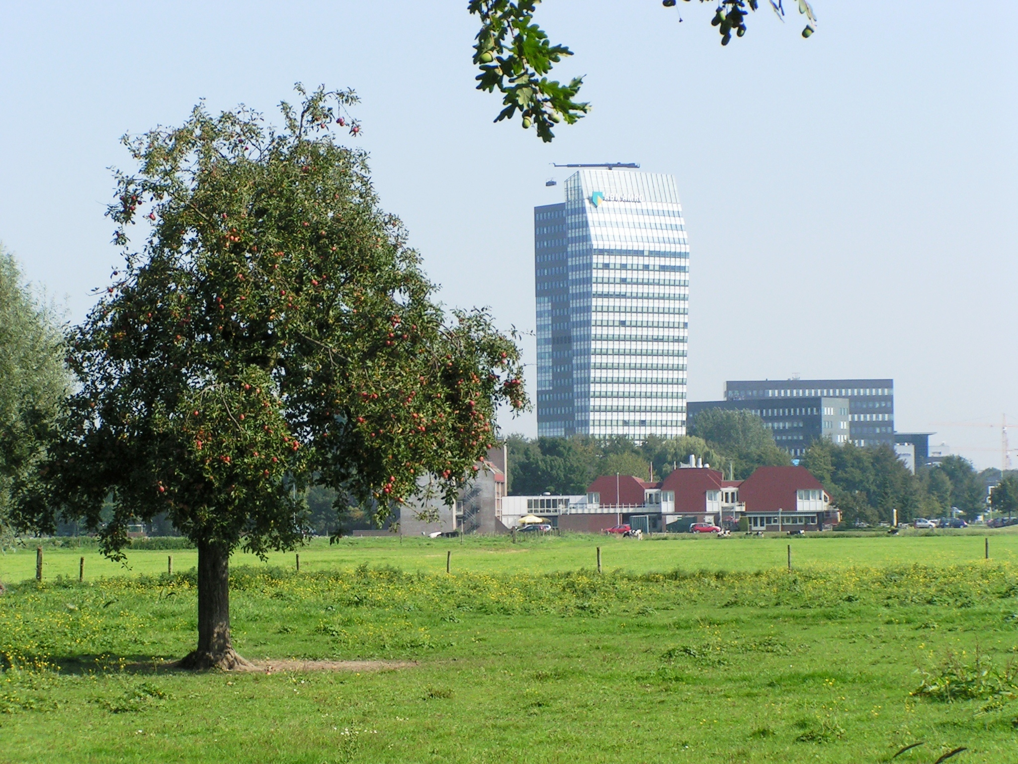 Solitaire boom | Splij+